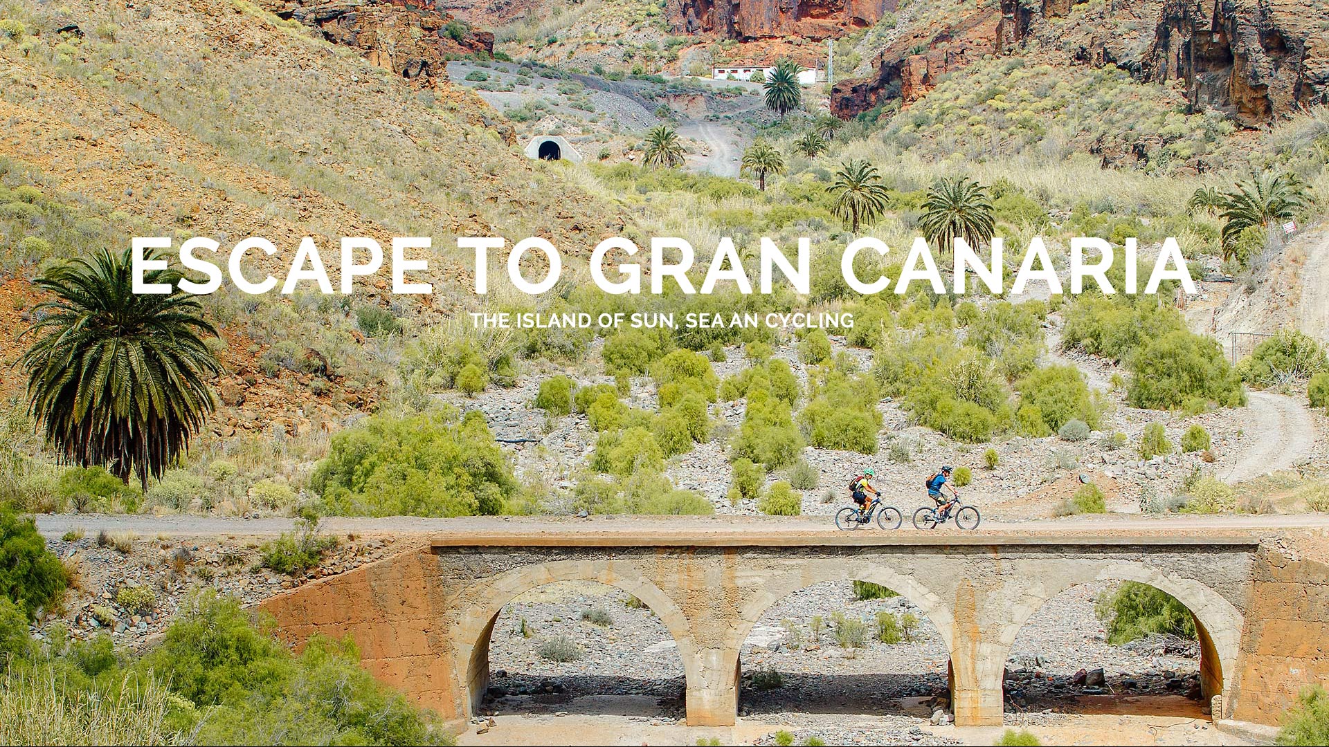 Free Motion | Your expert for biking on Gran Canaria